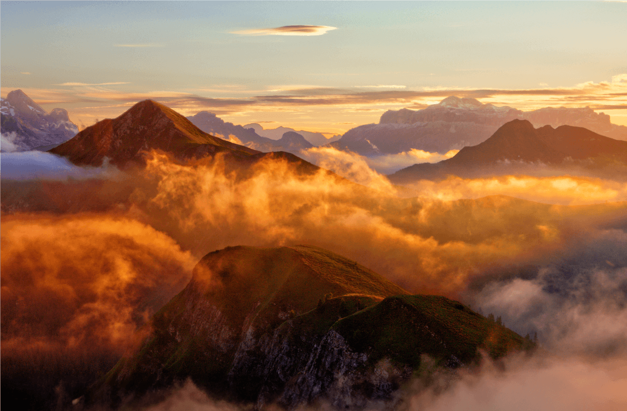 Grupo Mariposa | Business Units